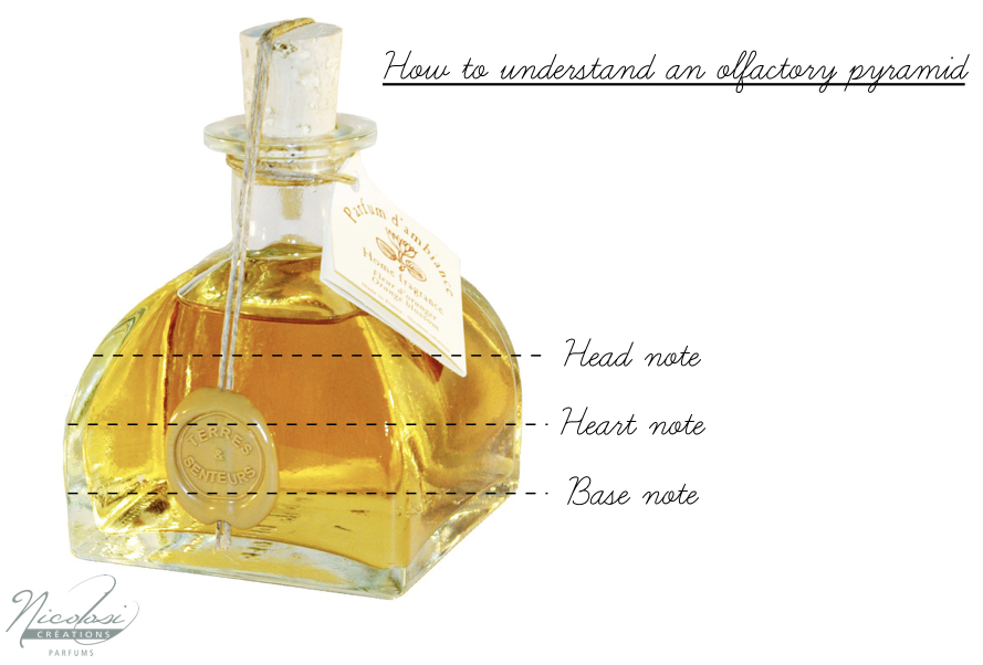 The Olfactory Pyramid Is The Structure Of A Perfume, - Perfume ...