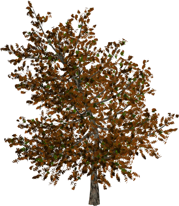Print Photos - Fall Bush Png Transparent (792x900), Png Download