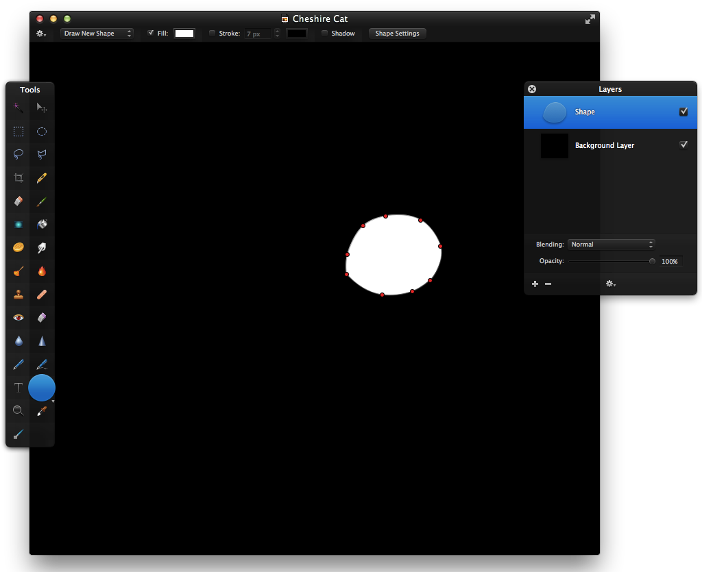 Step - Cat (1026x842), Png Download