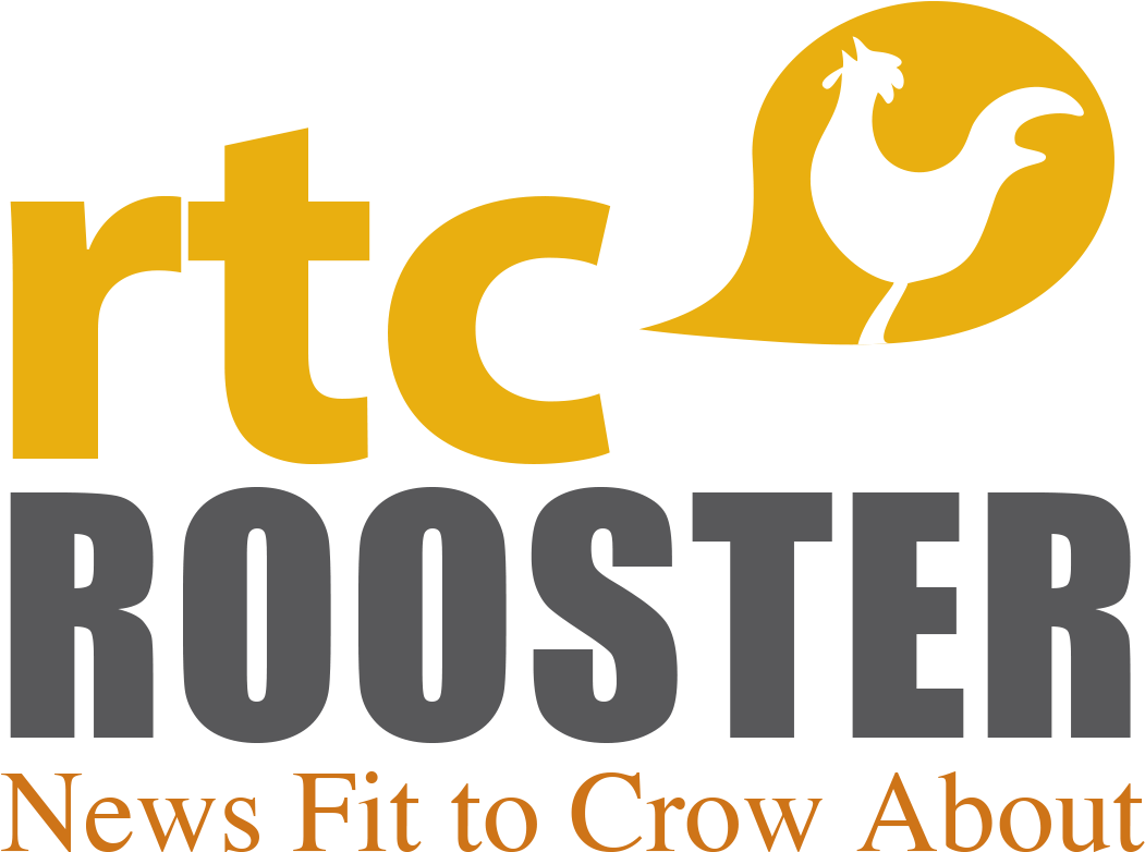 Rooster Nl - Blog (1067x815), Png Download