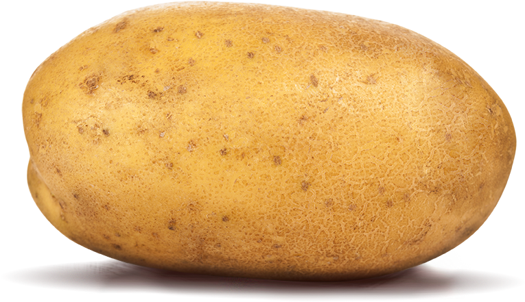 Download Potato Png Image - Potatoes | Transparent PNG Download | SeekPNG