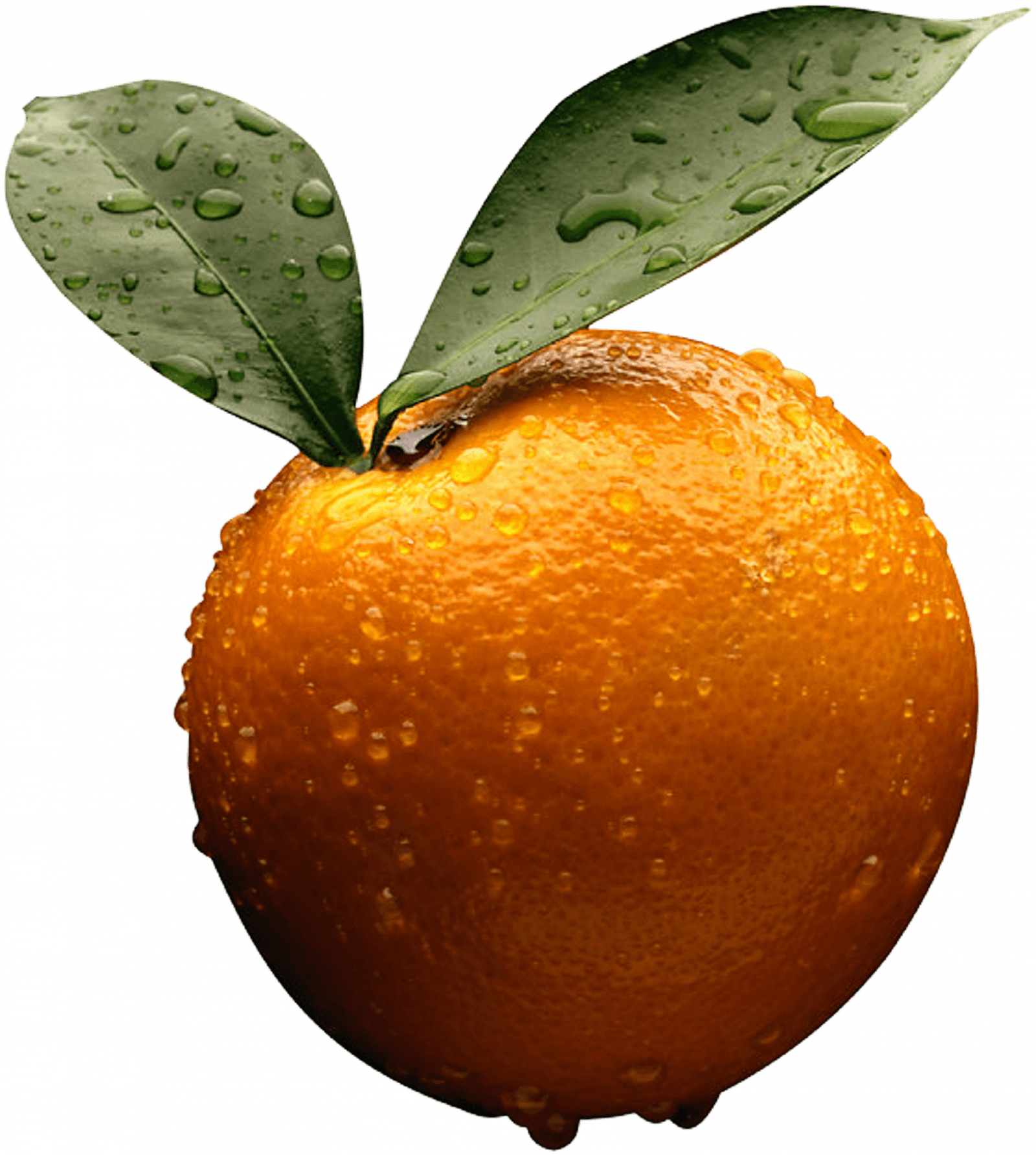 Orange Png Image Download Png Image - Frank Wood's Business Accounting ...