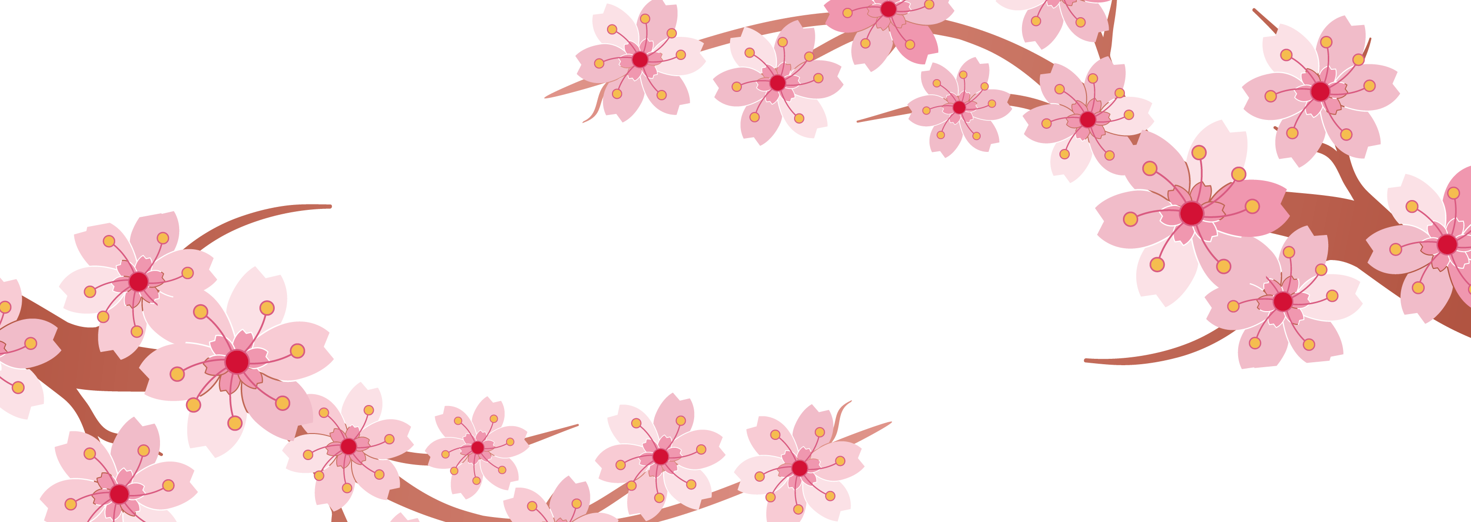 Cherry Blossom Banner - Pink Cherry Blossom Banner Vector (2988x1062 ...