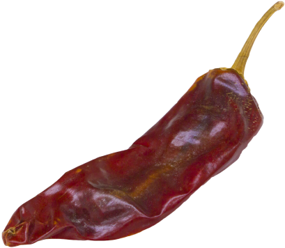 Download These Paintings And Photos To Help You Better Understand ...