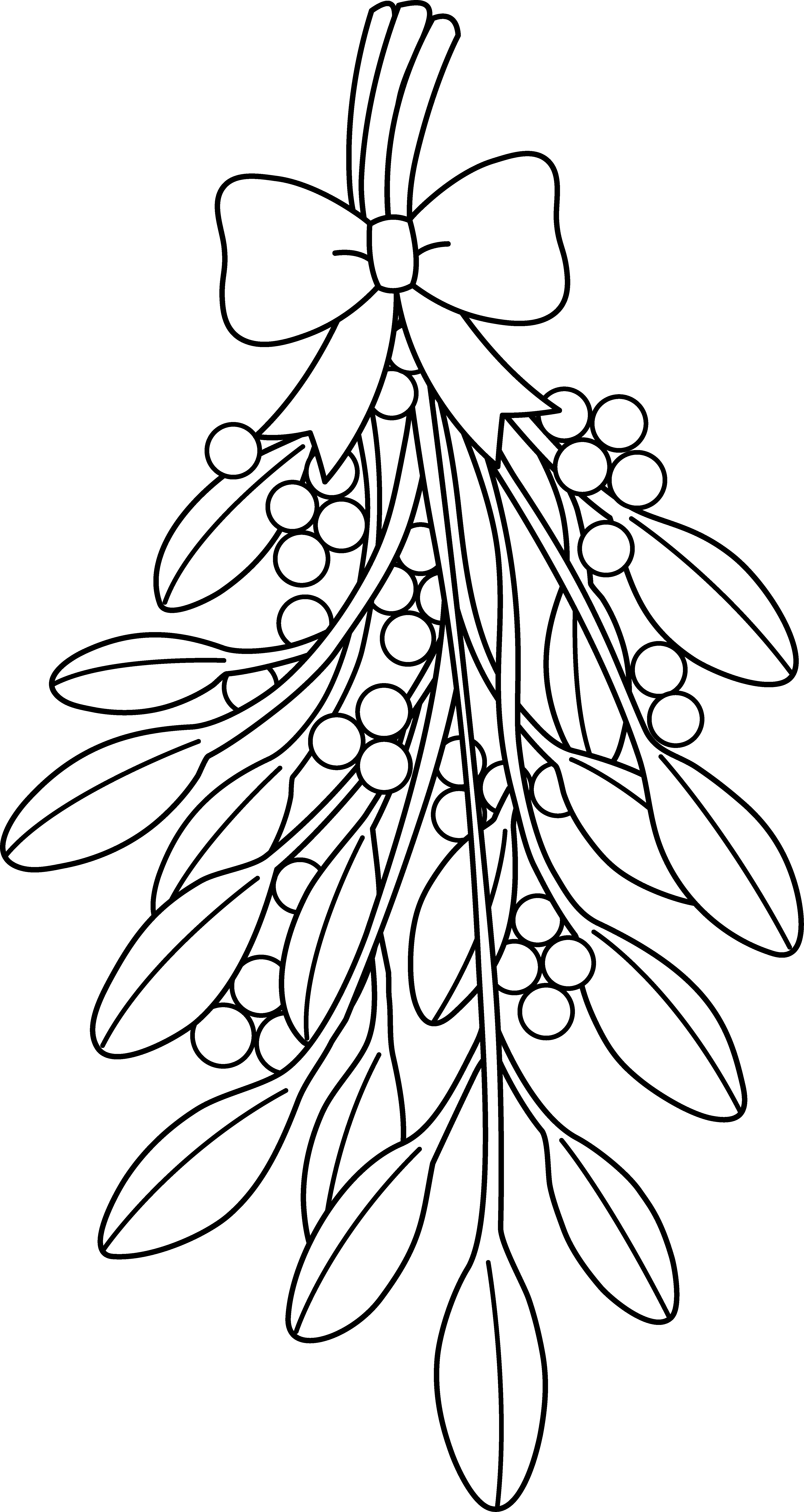 Mistletoe Drawing At Getdrawings - Mistletoe Drawing (4303x8090), Png ...