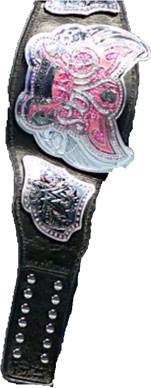 Download Zoom - Divas Title Png Wwe | Transparent PNG Download | SeekPNG