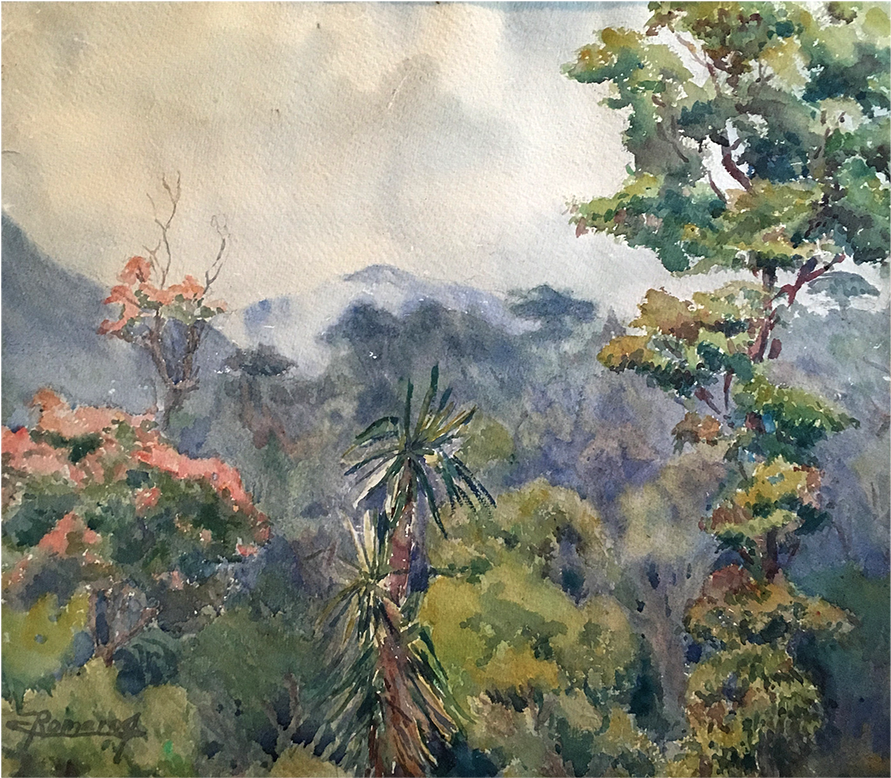 Tropical Impressionist Watercolor Signed Illegibly - Floral Design ...