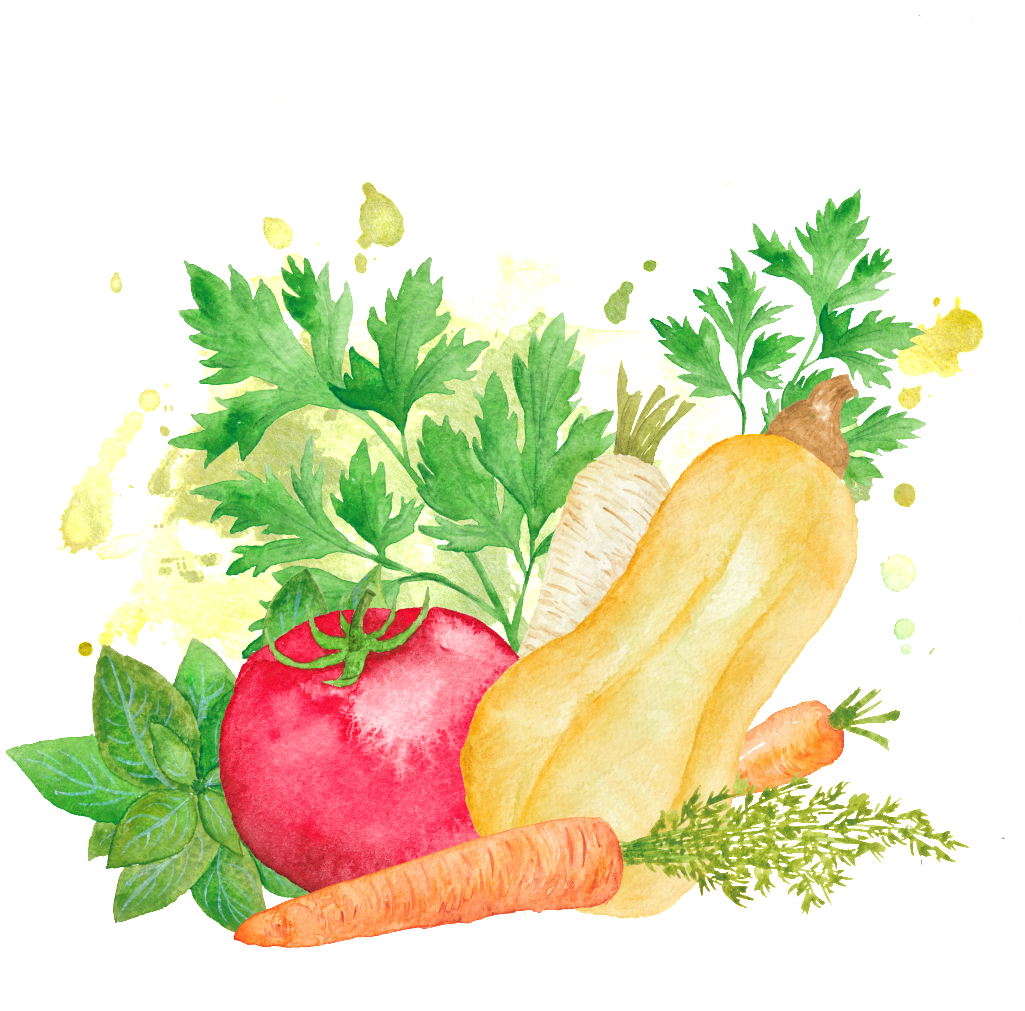 Download Hand Drawn Colorful Cartoon Vegetable Kitchen Transparent ...