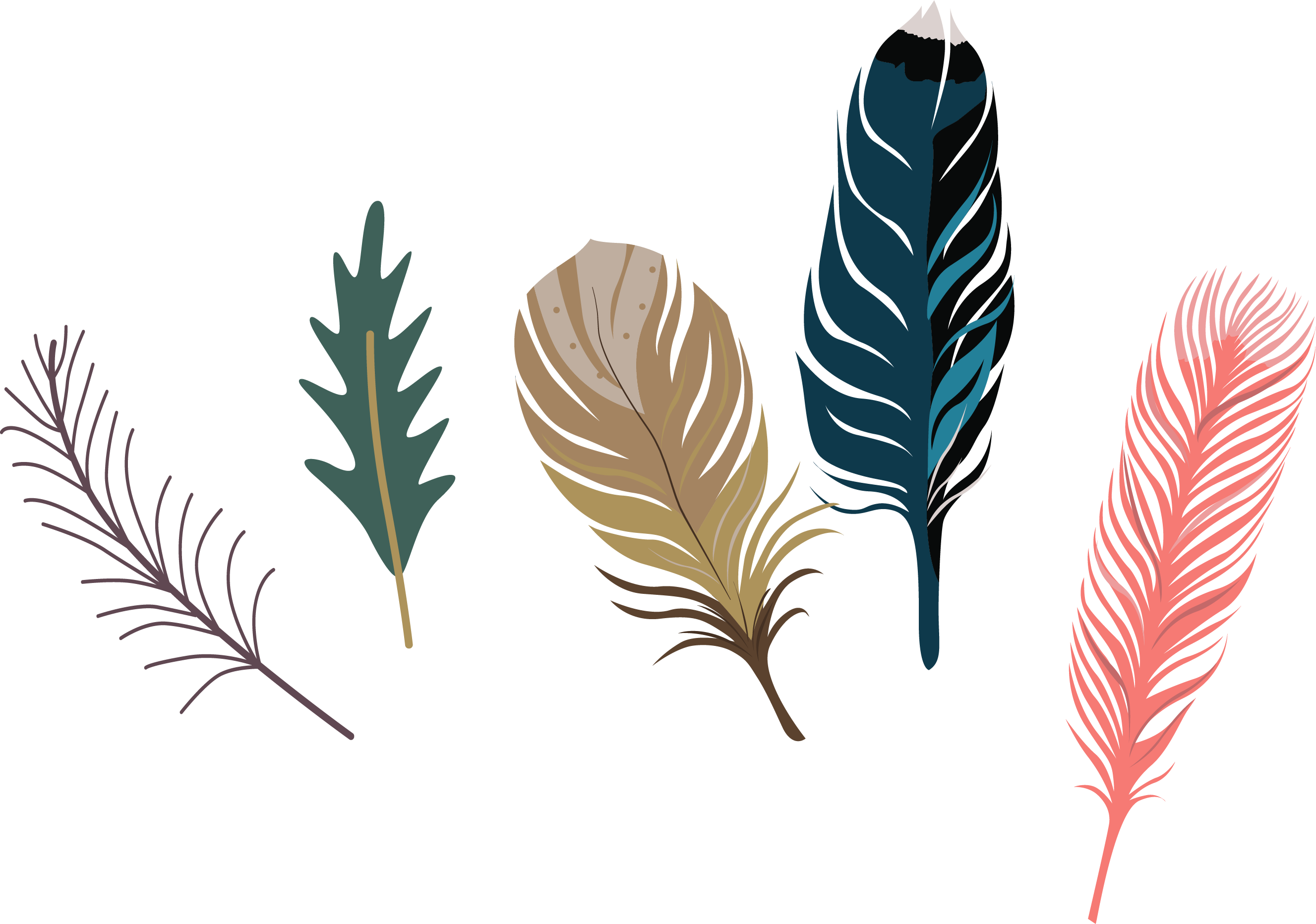 Cartoon Drawing Feather - Feathers Cartoon (2654x1864), Png Download