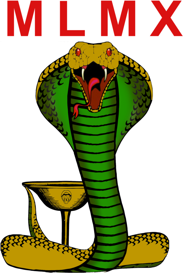 Snake Design - Design (1000x1000), Png Download