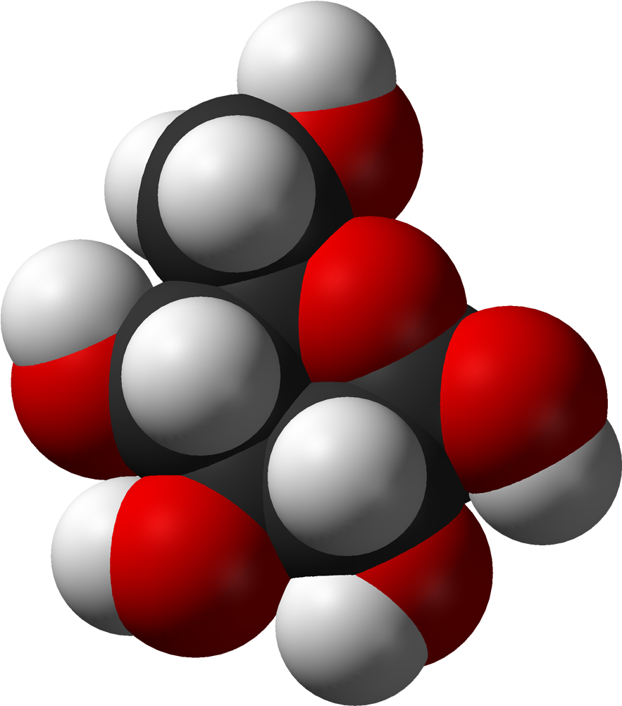 Download Organic Compounds Worksheet - Glucose Space Filling Model ...
