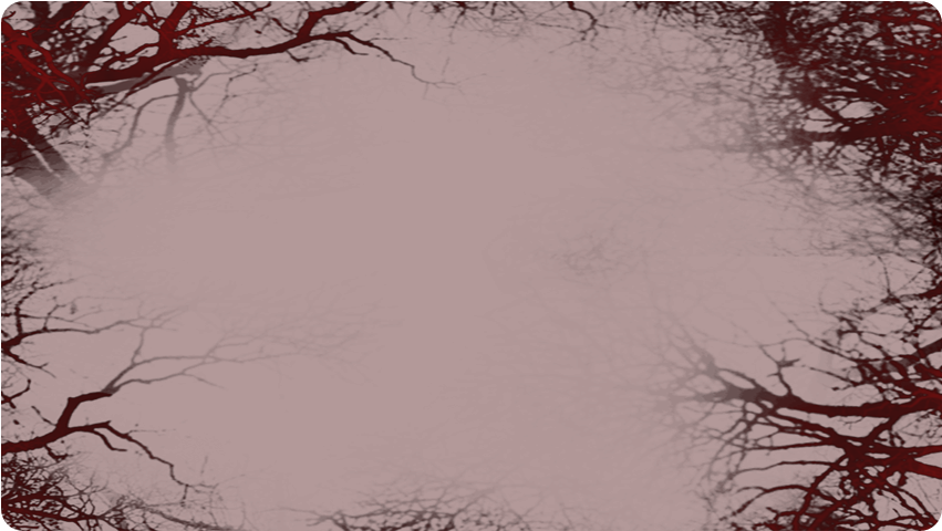 Border Sticker - Reflection (851x480), Png Download