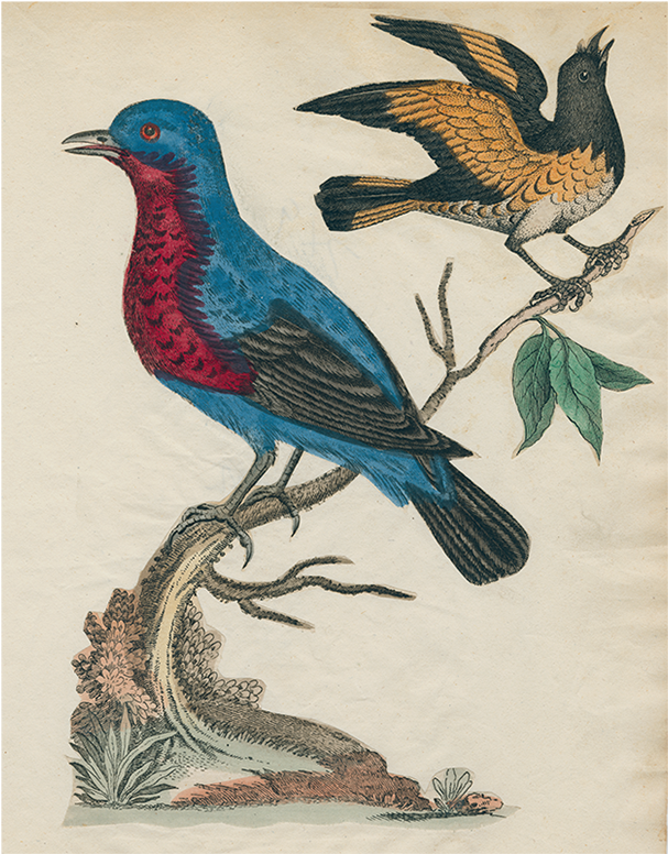 065 39b79605 Eefb 409c 88ea 212dda49ad75 V=1527864425 - American ...