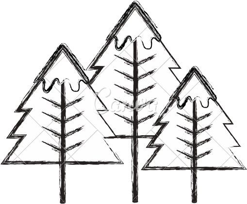 Download Tree Line At Getdrawings - Design | Transparent PNG Download ...