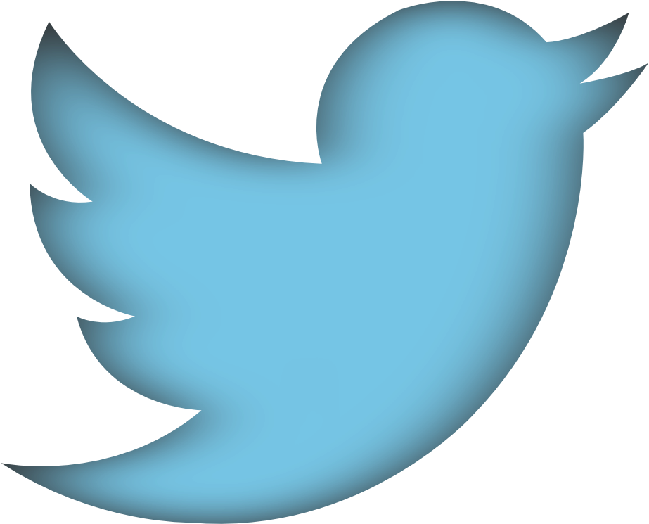 Twitter Transparent - Panel Logo Twitter (1194x944), Png Download