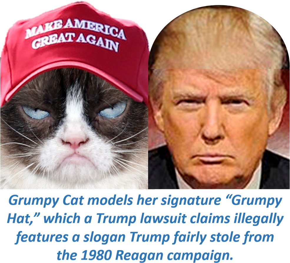 Download Donald Trump Grumpy Cat - Memes The Cat Collection [book ...
