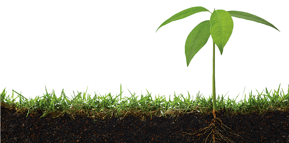 Soil Png - Soil Tester (2 Pack), Fosmon 3-in-1 Soil Ph Meter, (1107x550 ...