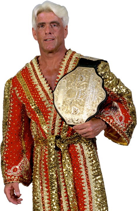 Picture - Ric Flair Wcw Champion (468x719), Png Download