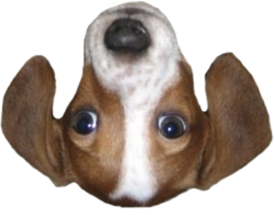 Frankerfacez - Frankerfacez Emote (560x439), Png Download