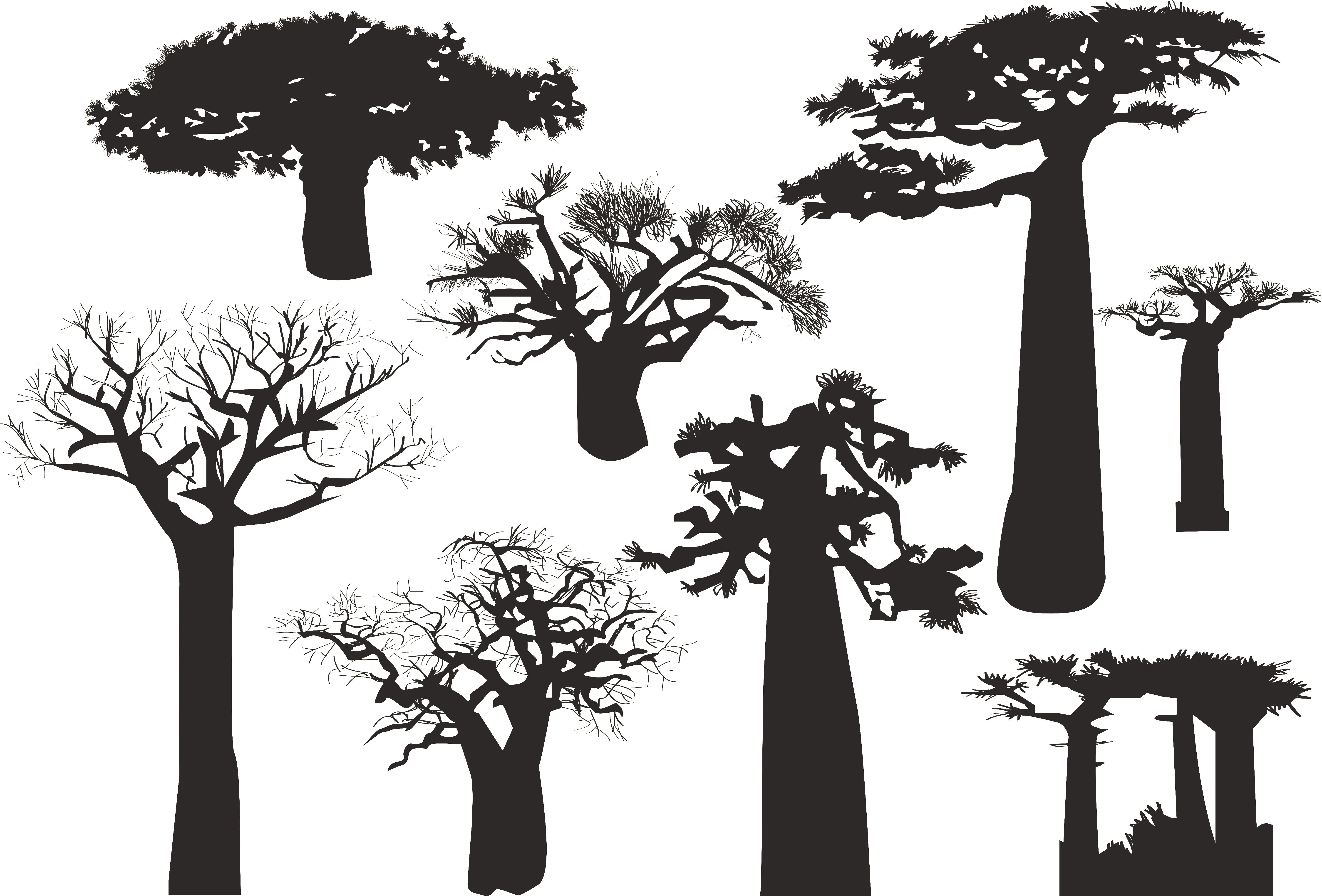 Download Baobab Tree Silhouette - Baobab Tree Silhouette Png ...