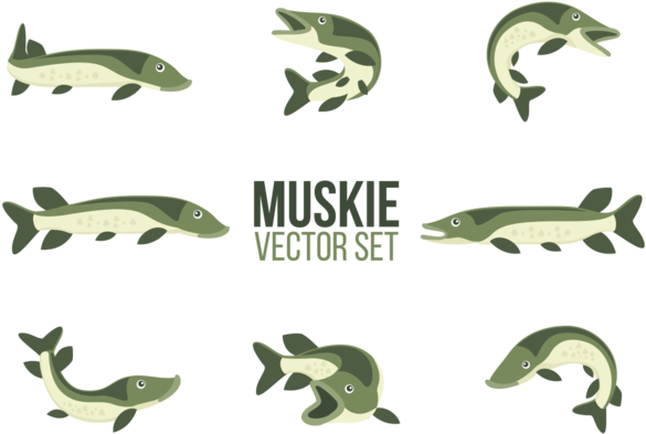 Muskie Cartoons - Cookie Monster Facebook Cover (700x490), Png Download