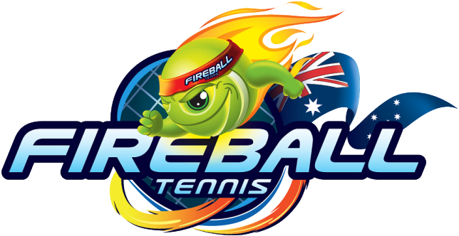 Download Picture - Logo Fireball | Transparent PNG Download | SeekPNG