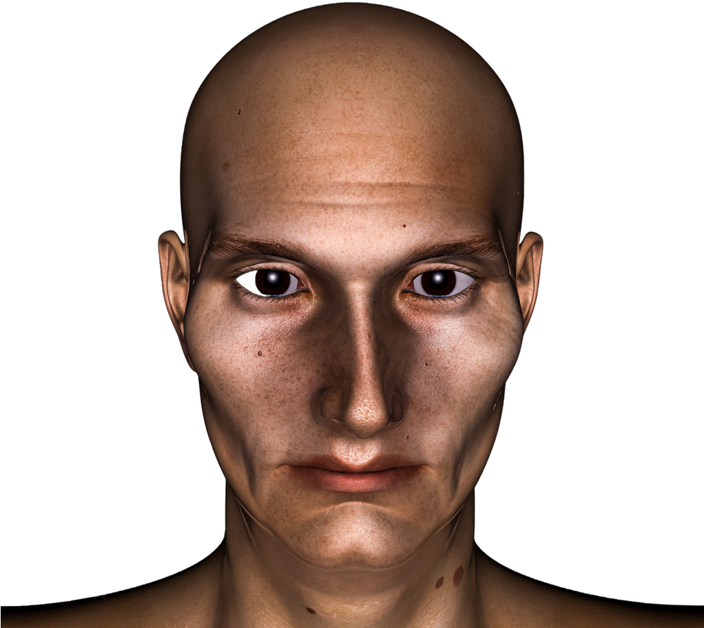 Head Man Bald Head, People - Cabeça Homem (1024x1024), Png Download