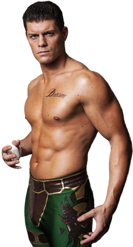 Roh Wrestling Ring Of Honor, Wrestling, Trunks, Bathing, - Cody Rhodes ...