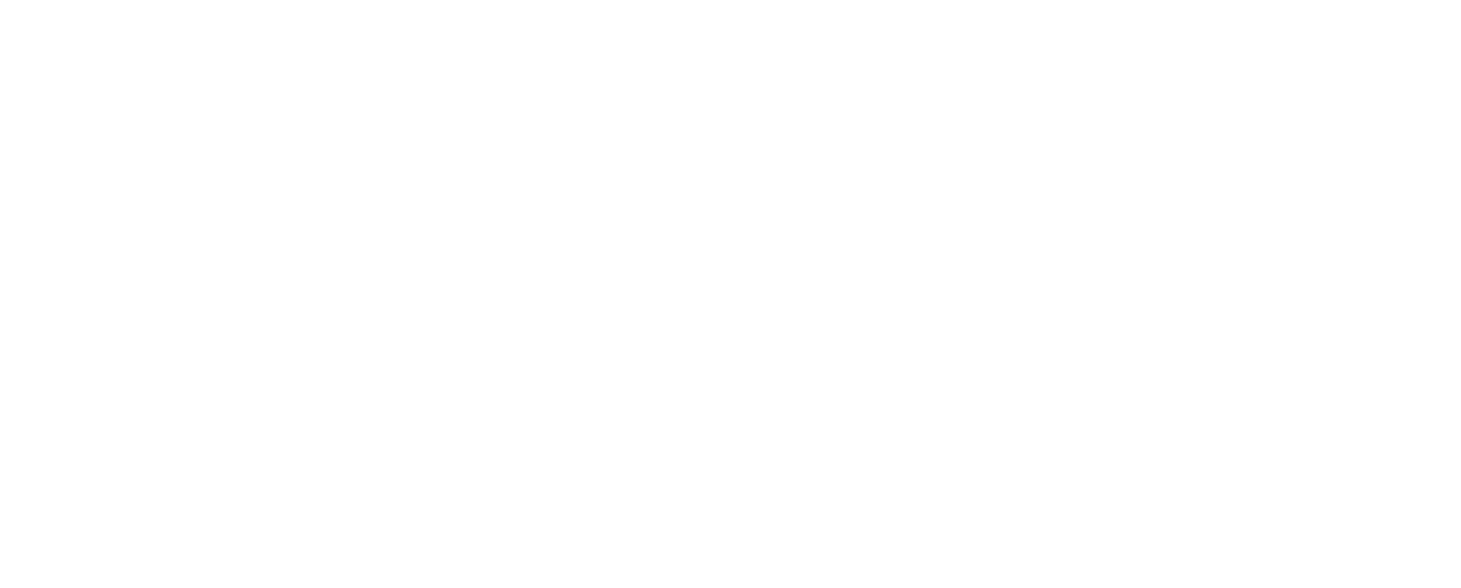 Pine Island Light Tackle And Fly Fishing Guide Logo - Fly Fishing Guide ...