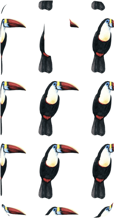 Time To See The Tucan Samsung Galaxy S5 Slim Phone - Snares Penguin ...