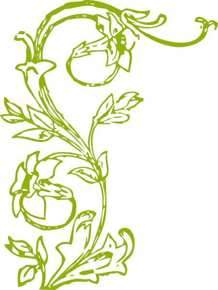 28 Collection Of Vine Drawing Png - Flower Clip Art (450x598), Png Download