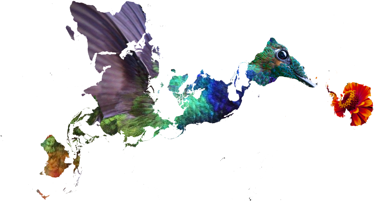 Hummingbird Earth No Bg [oc] - Dymaxion World Map (fuller Projection ...