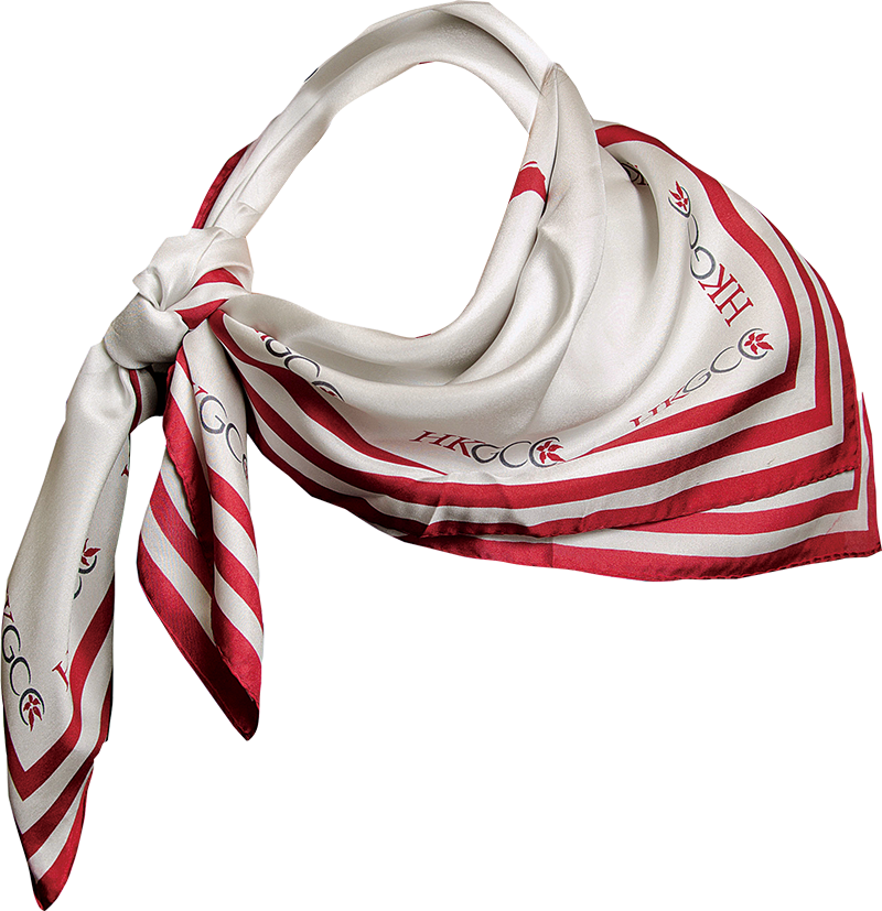 Scarf Designs - Scarf Transparent Scarf Png (800x827), Png Download