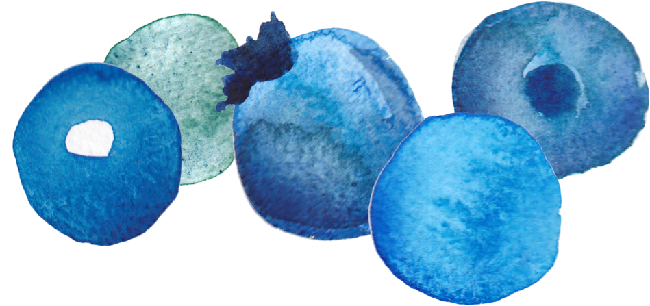 Download Blueberry | Transparent PNG Download | SeekPNG