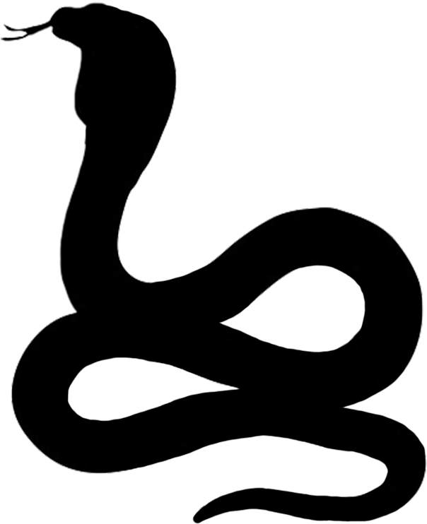 Snake Head Silhouette At Getdrawings - Snake Silhouettes (654x792), Png ...