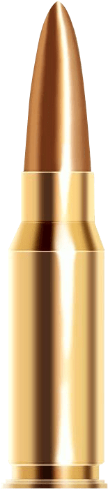 Bullet Png Images Pngpix - Bullet Download In Png (255x782), Png Download