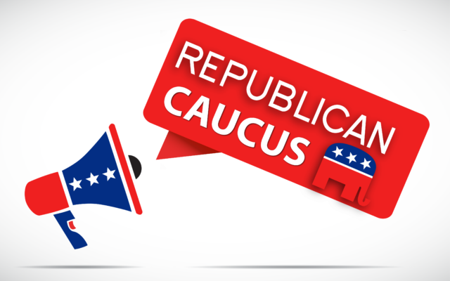 Republican Caucus Feb - Democratic Caucus (640x400), Png Download