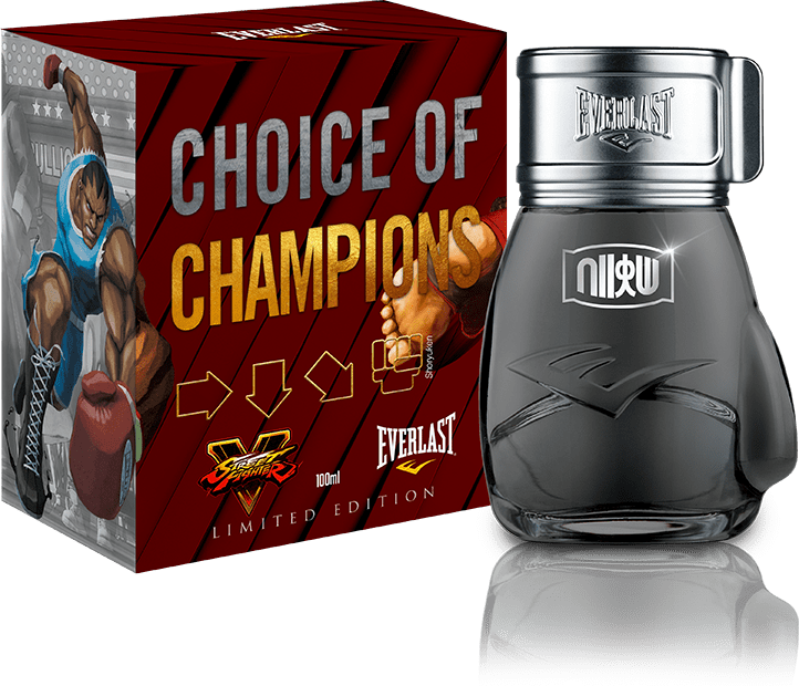 Download Street Fighter - Everlast | Transparent PNG Download | SeekPNG
