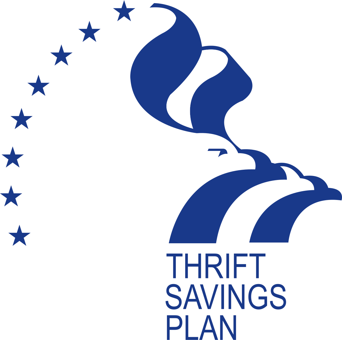 Thrift Savings Plan Logo (1200x1192), Png Download