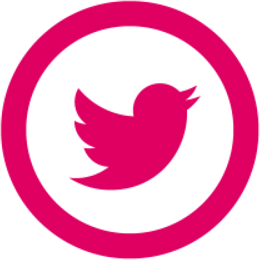 Twitter Logo Small Size