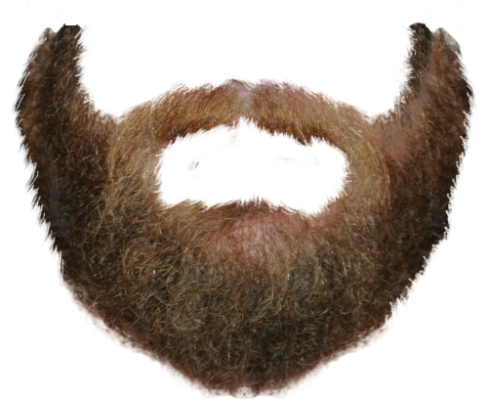 Download Transparent Beard Png - Transparent Background Beard Png ...