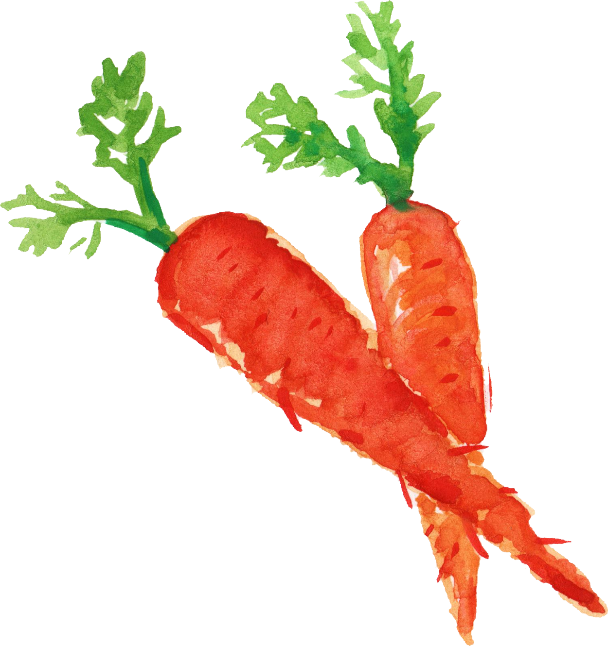 Transparent Watercolor Vegetable (1250x1330), Png Download