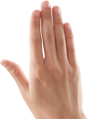 Download Y28 S4 Hand - Top Of Hand Png | Transparent PNG Download | SeekPNG
