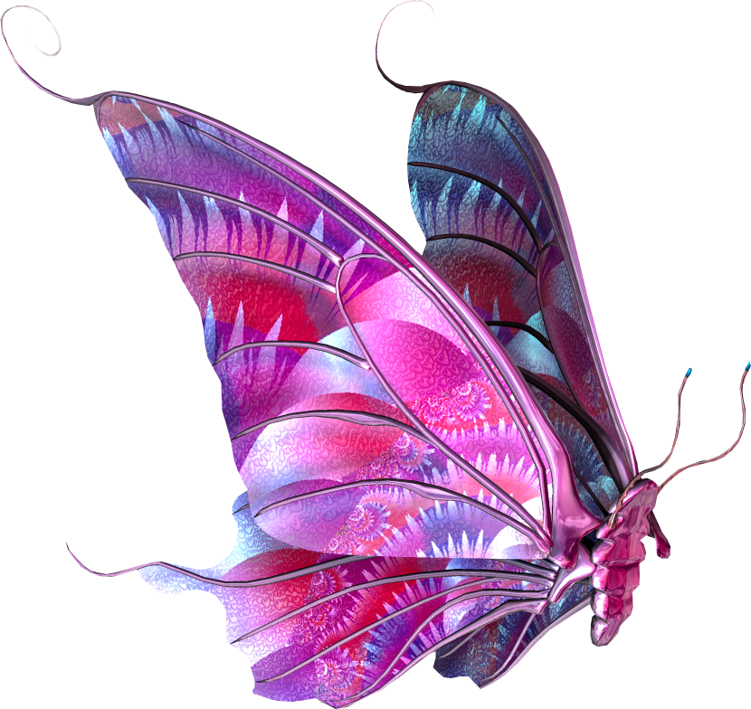 Flying Butterfly Png Image - Flying Butterfly High Res Png (500x472 ...