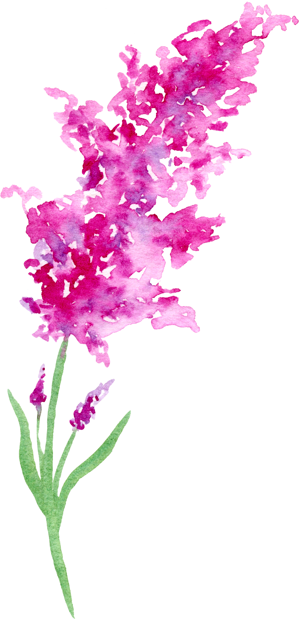 0℃素材44 - Flower Natalie Graham Artist (997x2048), Png Download