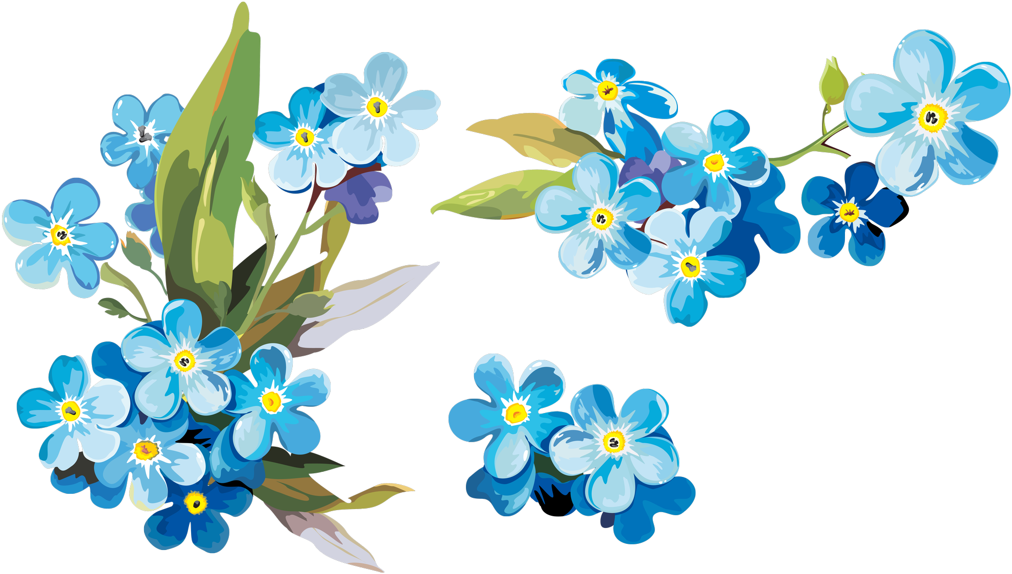 Watercolor Painting Paper Clip Art - Forget Me Not Flowers Watercolor ...