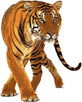 Png Animal (347x450), Png Download