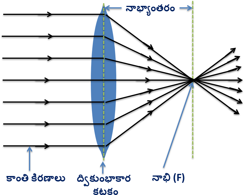 Converging Light Rays - Diagram (856x721), Png Download
