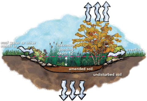 11 Jul 2017 - Rain Garden Soil Layers (500x332), Png Download