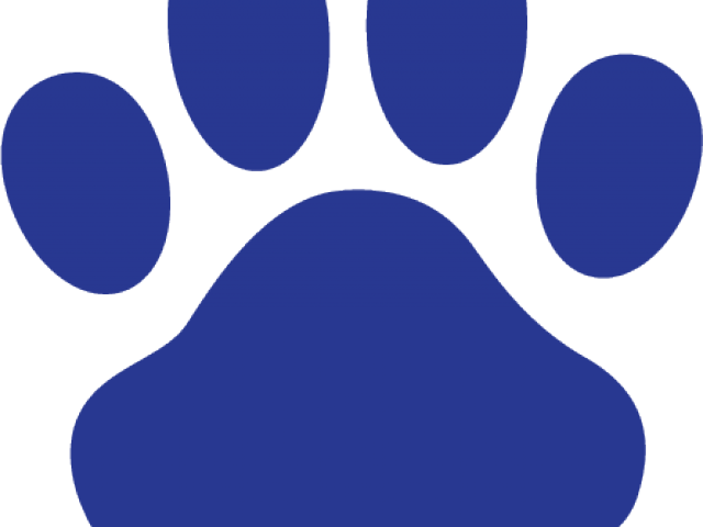 Paw Prints Brown No Background (640x480), Png Download
